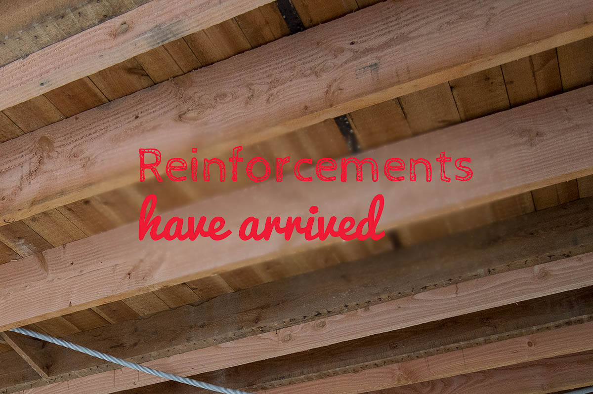 Reinforcements and silencing - TownHouseHome